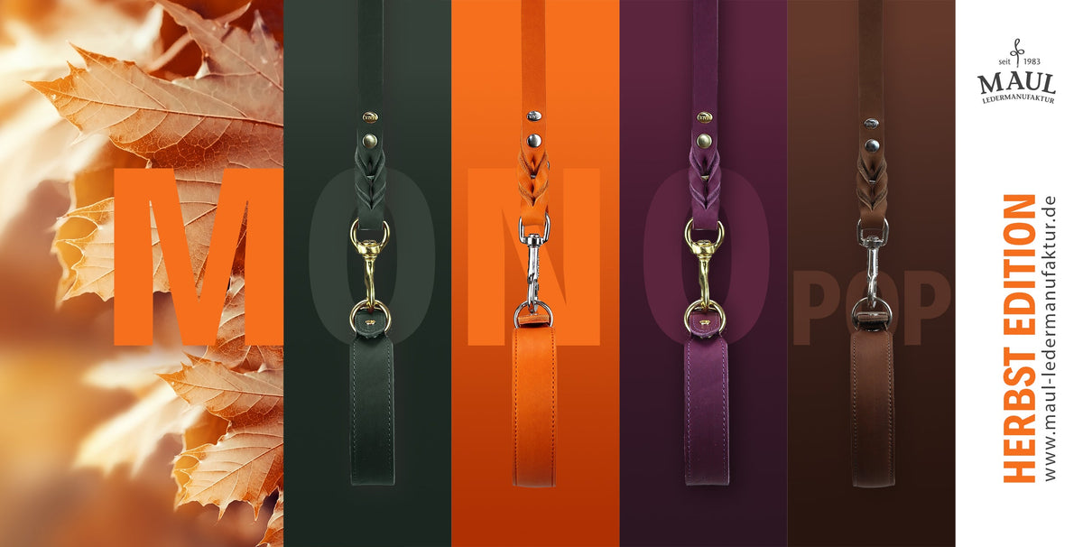 Mono Pop Herbst-Edition